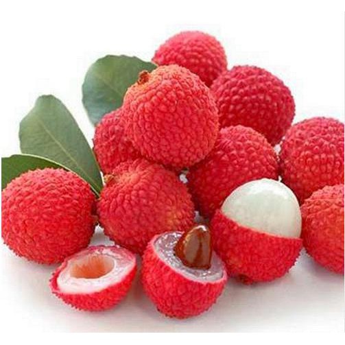 Jual Benih/Biji Buah Leci (Lychee Fruit Seeds) Import Pilihan | Shopee ...