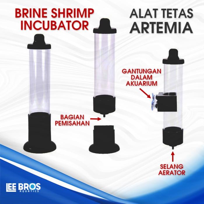 Jual Alat Tetas Artemia / Brine Shrimp Incubator Hatcher / Kultur ...