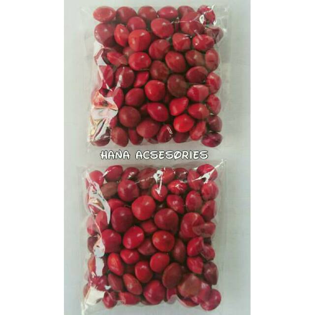 Jual Biji Saga isi kurang lebih 100 biji kemasan 30 gram | Shopee Indonesia