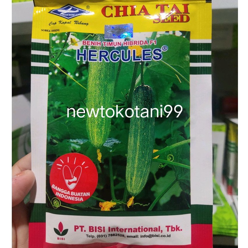 Jual TT99 Benih timun HERCULES F1 25 gram biji ketimun hibrida hybrid ...