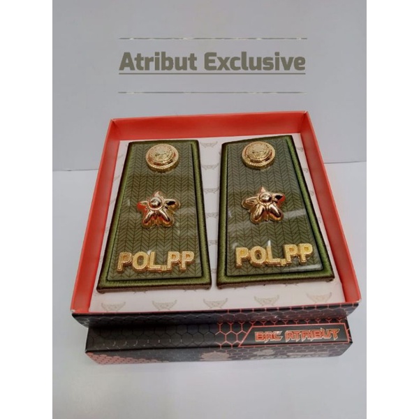 Jual TANDA PANGKAT POLPP POL PP SAT POL SATPOL GOLONGAN 3D | Shopee ...