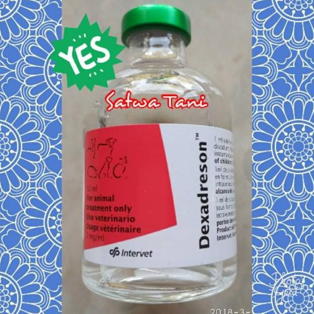 Jual {{{{}}] Dexadreson (dexametason ampuh) | Shopee Indonesia