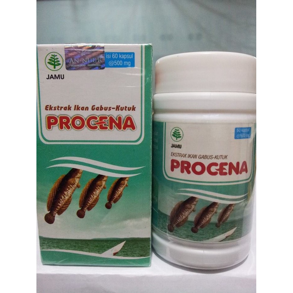 Jual Kapsul Procena - Kapsul Extra Ikan Gabus Dan Kutuk | Shopee Indonesia