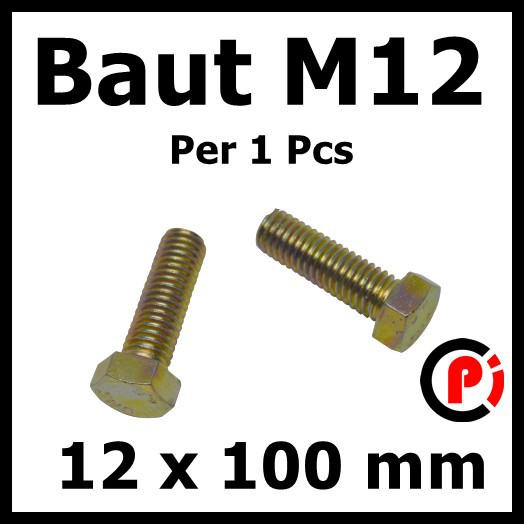 Jual Isi 10 Pcs Baut M12 Hex Bolt Ukuran 12 x 100 mm | Shopee Indonesia