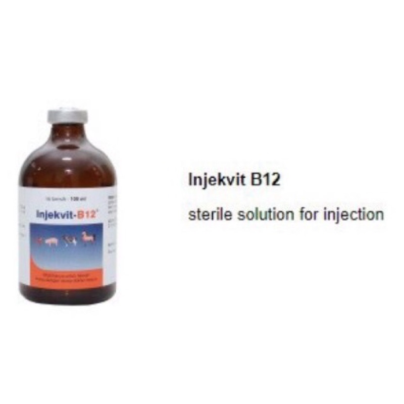 Jual Injekvit B12 Vitamin Injek B12 100 ml | Shopee Indonesia