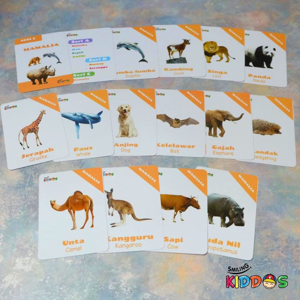 Jual SK FLASHCARD - Flash Card Anak Tema Binatang / Hewan | Shopee ...