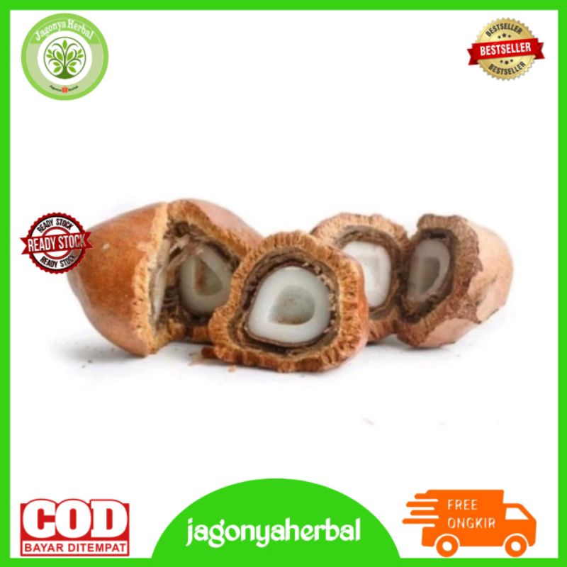 Jual ZURIAT MESIR 500G BELAH / BUAH ZURIAT MESIR BELAH 500G DOUM BELAH ...