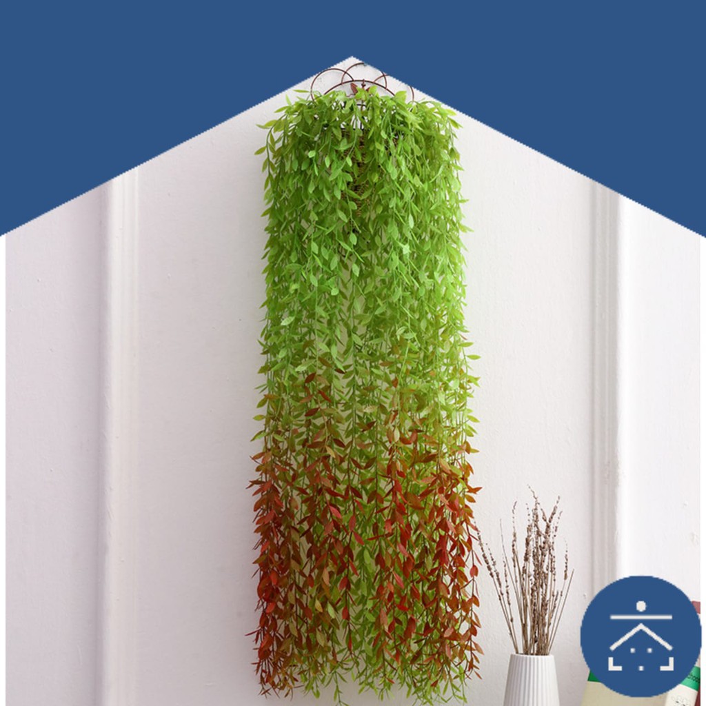 Jual Kunataruma Daun Rambat Palsu Tanaman Hias Indoor Pot Bunga ...