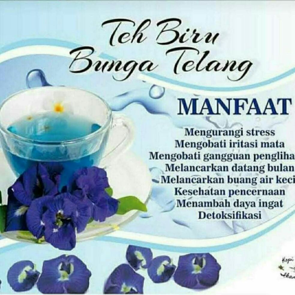 Jual Teh Bunga Telang 10 gram ORIGINAL | Buterfly Pea Tea / BUNGA ...