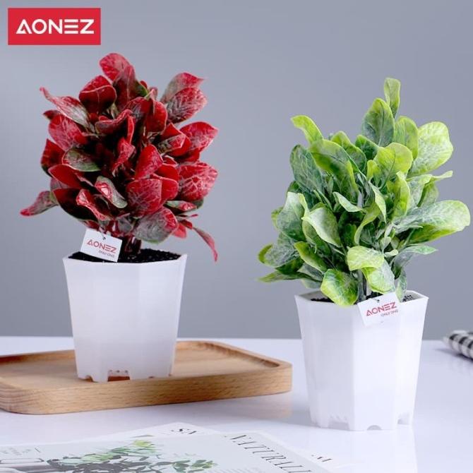 Jual Aonez Tanaman pot daun rimbunbunga hiasan ruang tamu sudut 2 warna ...