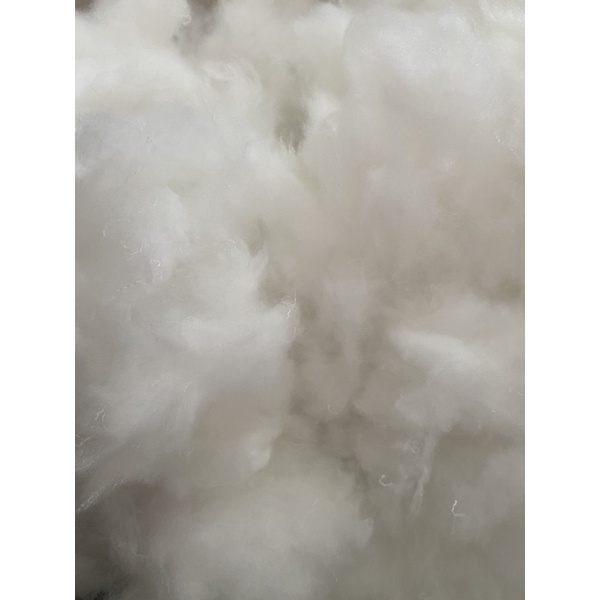 Jual BULU ANGSA KILOAN GOOSE DOWN FIBER BULU ANGSA 100gram bantal bulu ...