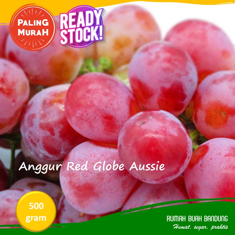 Jual Anggur Red Globe Aussie 250 gram | Shopee Indonesia