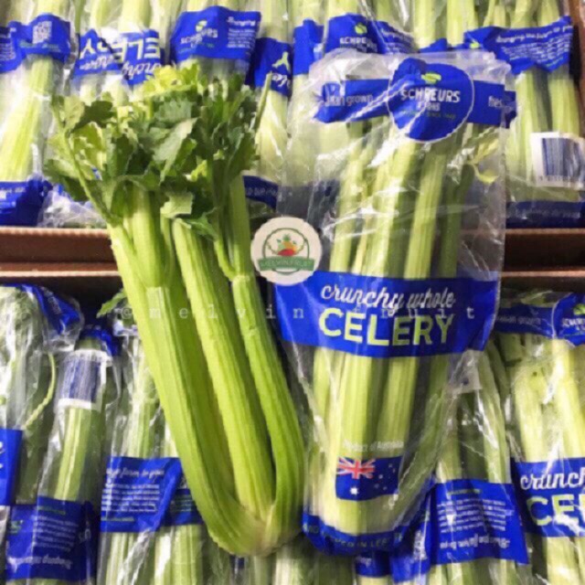 Jual Celery Stick Import / Seledri Stick Import (Australia) | Shopee ...