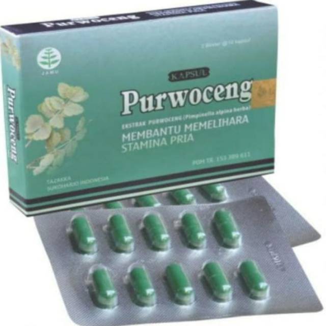 Jual Blister Purwoceng Obat herbal khasiat ampuh stamina pria kuat dan ...