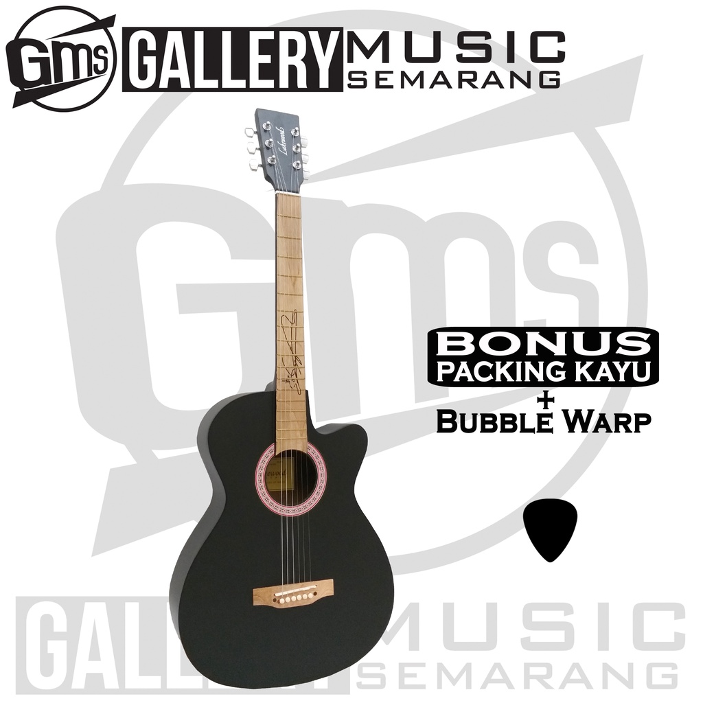 Jual Gitar Akustik Elektrik Lakewood Tanam Besi Termurah Terjamin ...