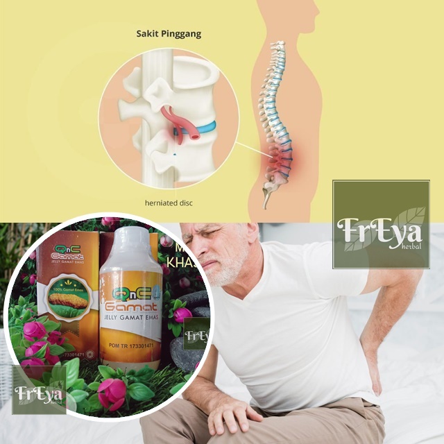 Jual OBAT SAKIT PINGGANG, OBAT HERBAL SAKIT PUNGGUNG BAWAH, OBAT LOW ...