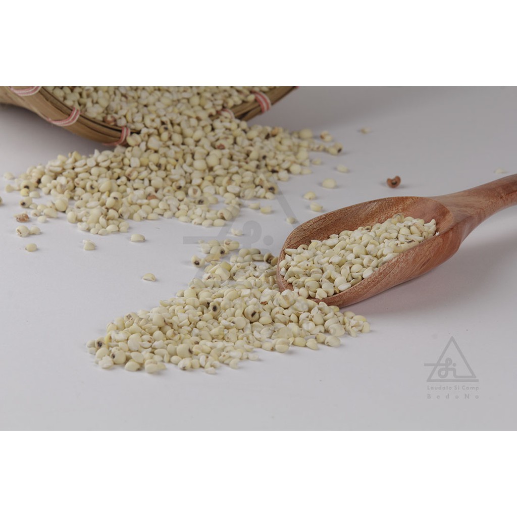 Jual Beras Jali Lokal / Hanjeli / Jali Aceh Premium | Kemasan 1 kg ...