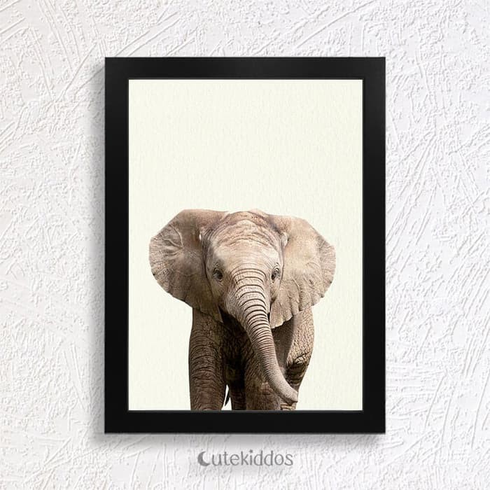 Jual Poster Anak Gajah Lucu Baby Elephant Hiasan Dinding Dekorasi Rumah ...