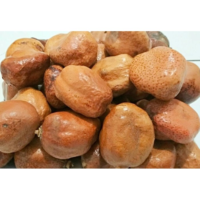 Jual Buah Zuriat buat promil 0.5 kg singel buah adam hawa bukan kurma ...