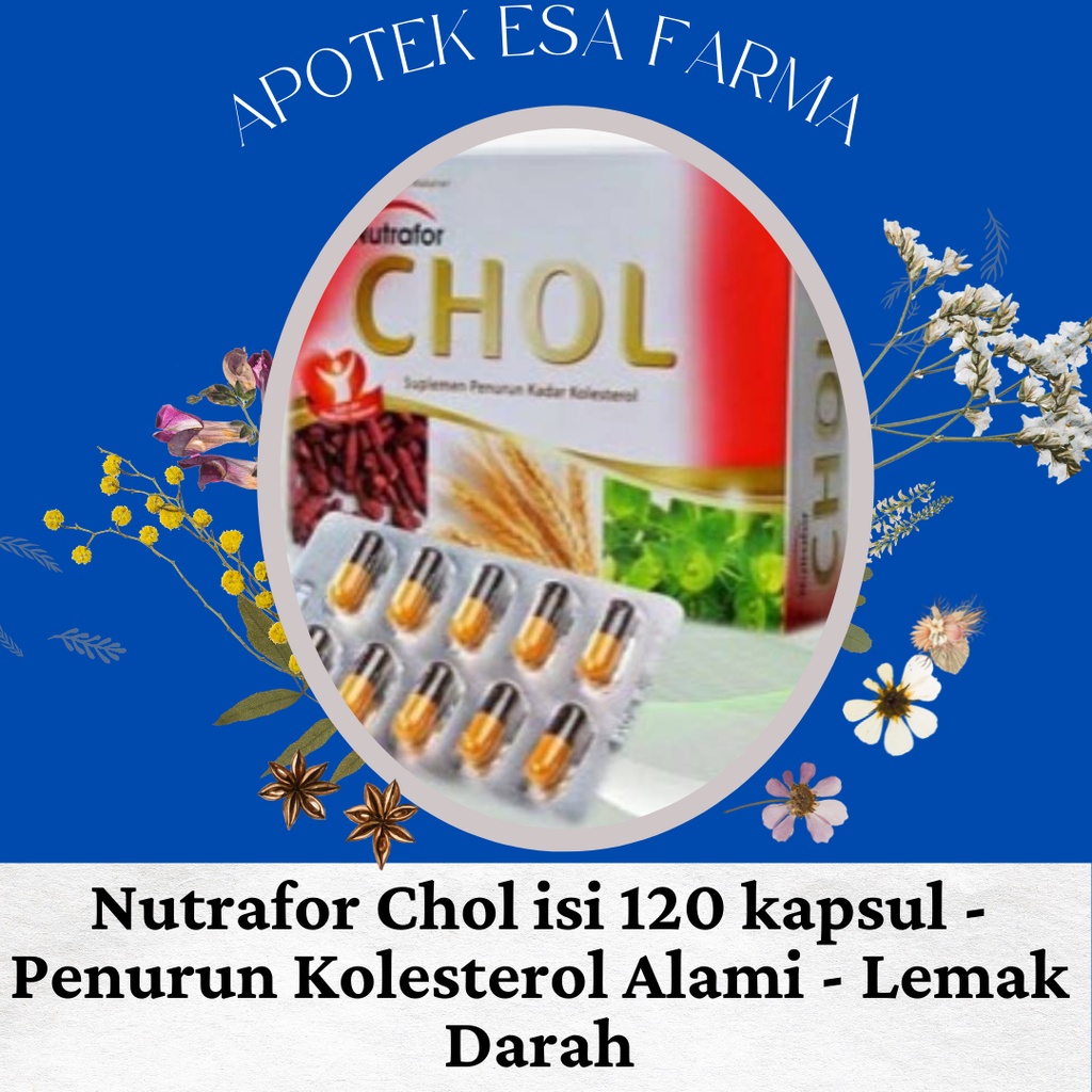 Jual Nutrafor Chol isi 120 kapsul - Penurun Kolesterol Alami - Lemak ...