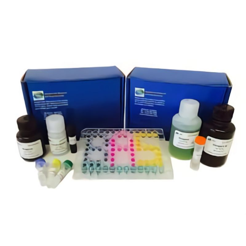 Jual QuantiChrom™ α-Glucosidase Assay Kit Catalog No: DAGD-100 | Shopee ...