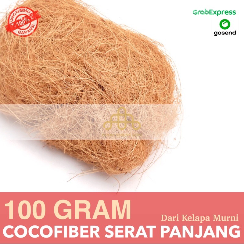Jual Sabut Kelapa 100gr Coco Fiber - Cocofiber Serat Sabut Kelapa ...