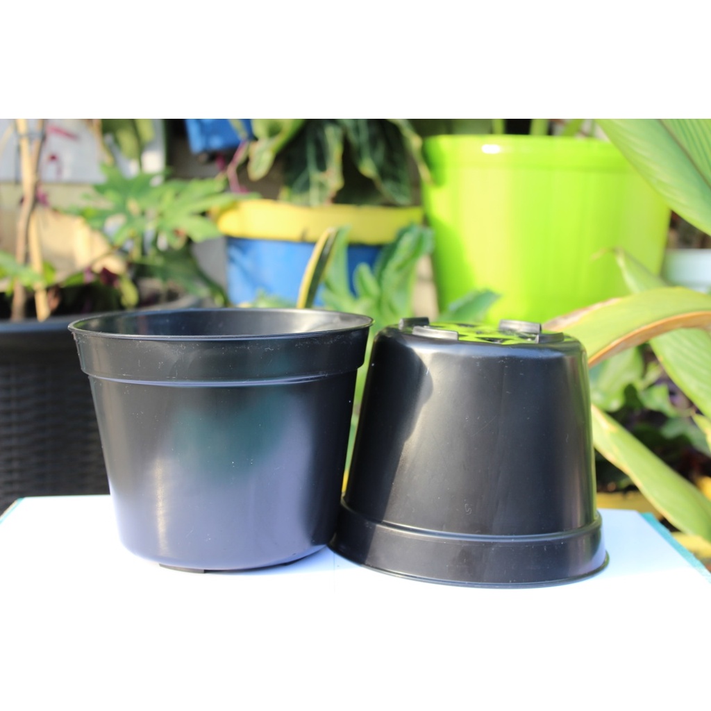 Jual pot BUNGA hitam ukuran 12 cm merk Made Indonesia Bibit tanaman ...