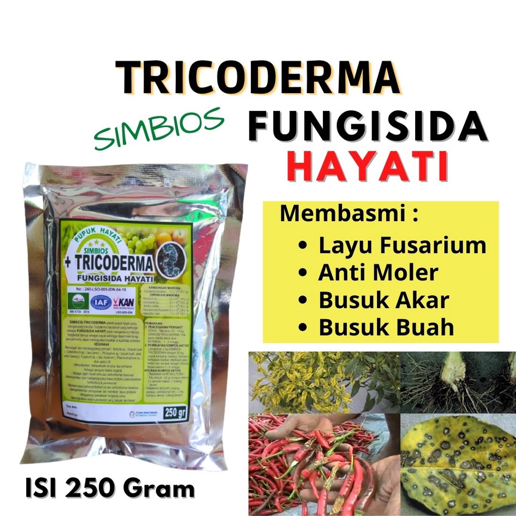 Jual Pupuk Tricoderma untuk mengatasi busuk akar dan buah, Fungisida Hayati untuk buah cabe ...
