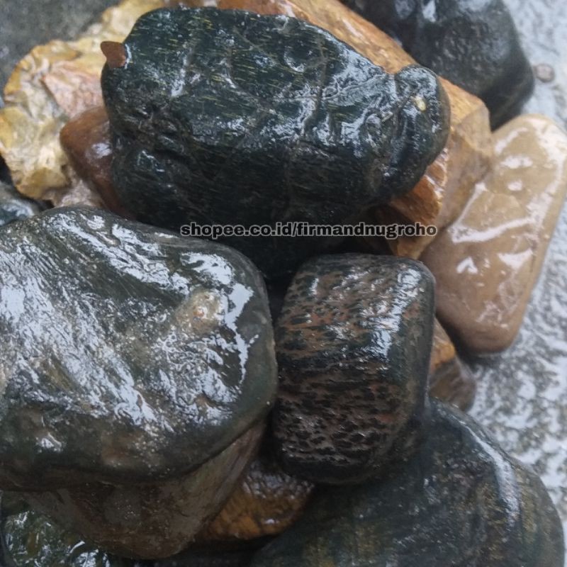 Jual Batu kayu (Petrified Wood) bongkahan sudah jadi batu kualitas ...