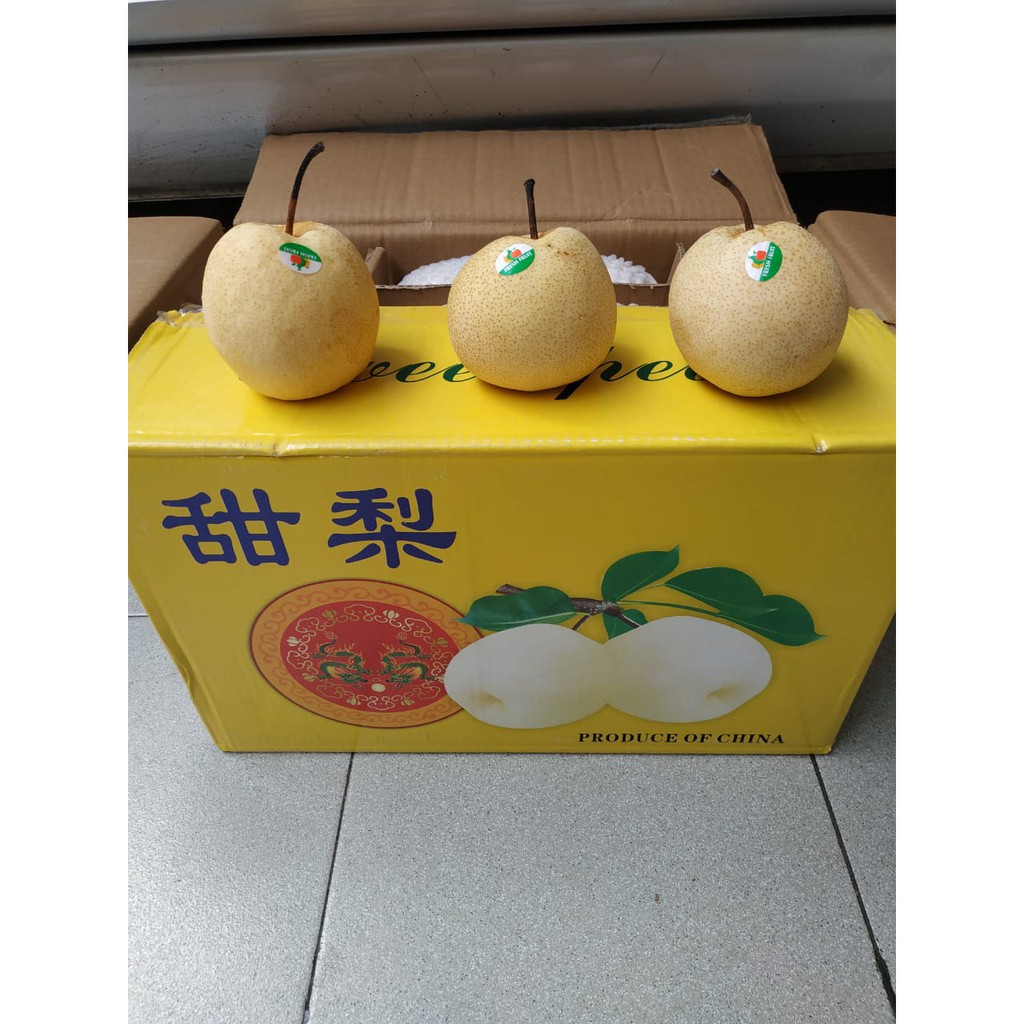 Jual Buah Pir Madu Sweet Pear 1 Dus (10 Kg) Fresh Import | Shopee Indonesia