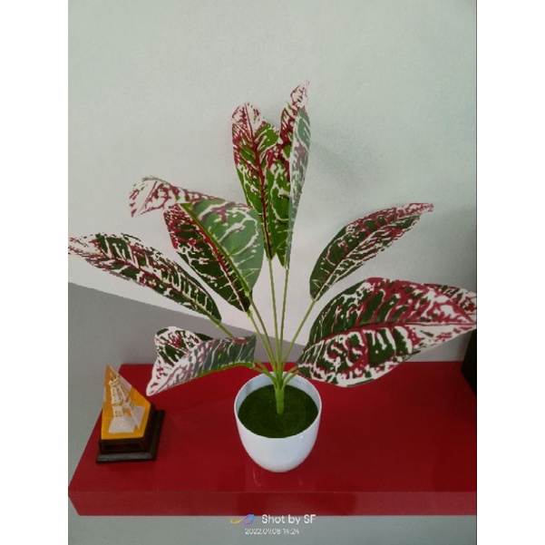 Jual Tanaman plastik monstera daun merah dekorasi dinding | Shopee ...