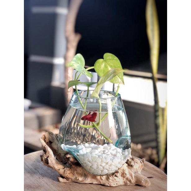 Jual HOMEYLIVING - Vas Kaca Kayu Size XL / Aquarium Cupang / Terrarium ...