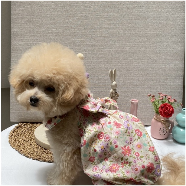 Jual Baju Jumpsuit Anjing Pink Flower ( Free Pita / Brooch) | Shopee ...