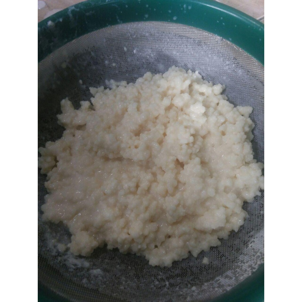 Jual bibit kefir kefir grains | Shopee Indonesia