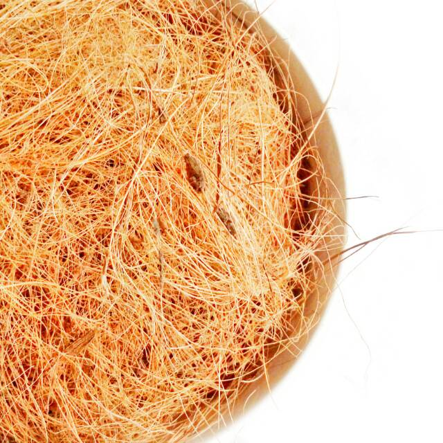 Jual Sabut Kelapa / Coco Fiber 1 kg | Shopee Indonesia