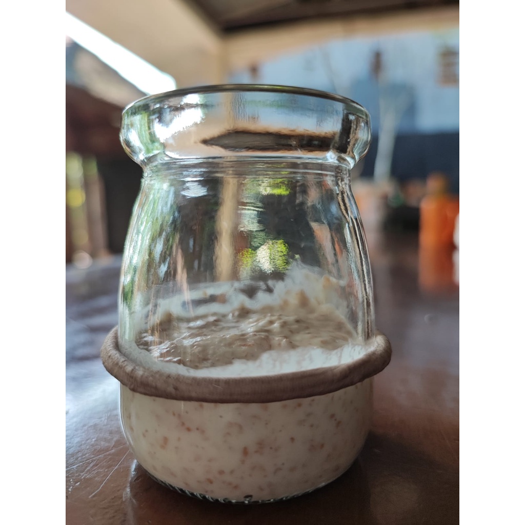 Jual SOURDOUGH GANDUM STARTER / RAGI ALAMI / WHEAT SOURDOUGH STARTER ...