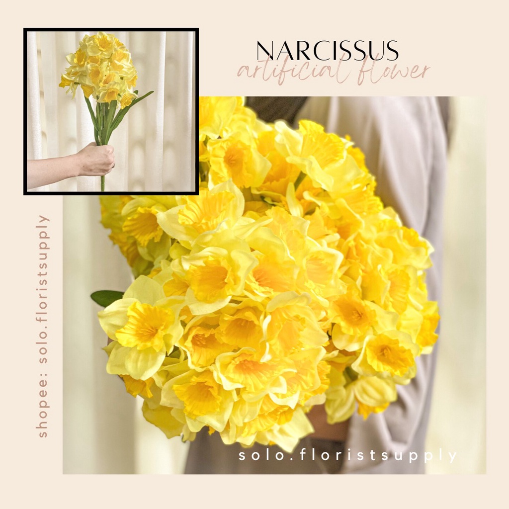Jual KUNTUM NARCISSUS BUSH NARCICCUS Bunga Narcissus Duo Bulbs Scented ...