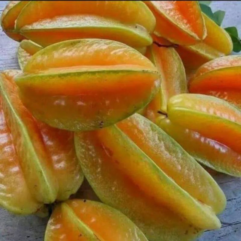 Jual Belimbing manis Belimbing Madu Blimbing Khas Blitar NO COD ...