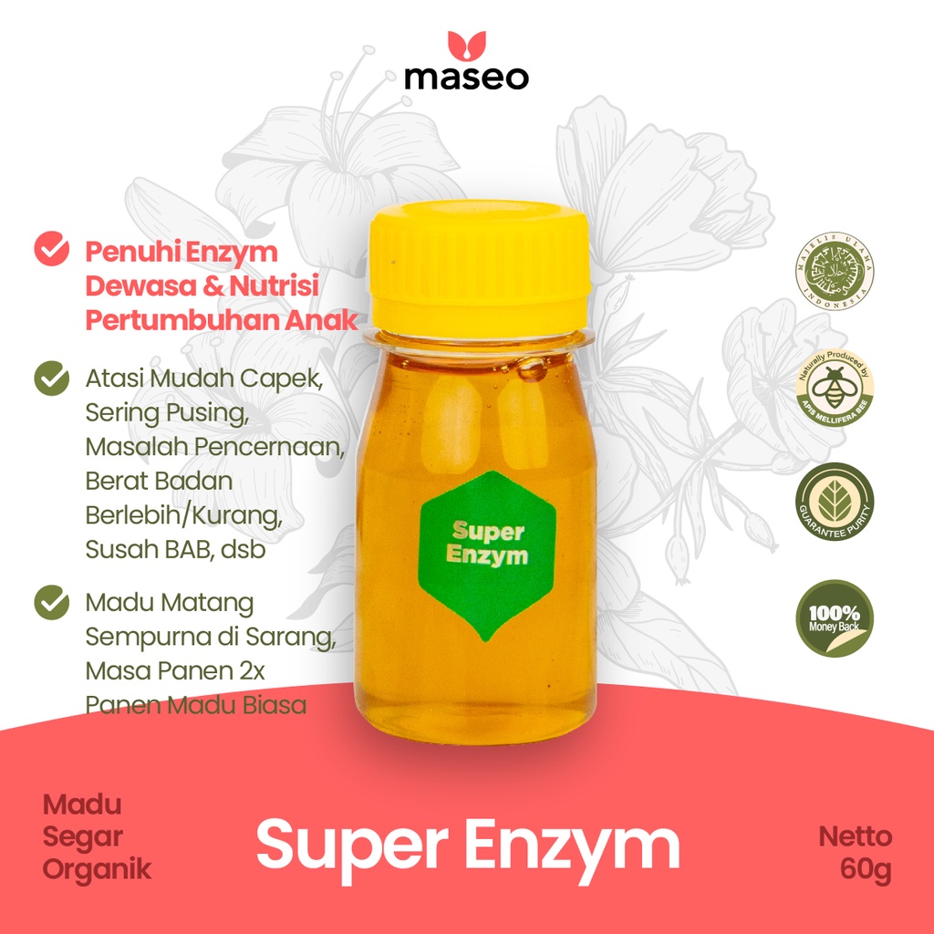 Jual Madu Super Enzym Maseo Mini Size 60gr Madu Asli Murni Organik Anti ...