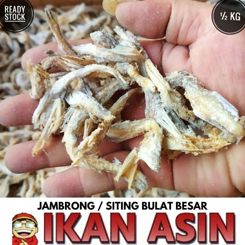 Jual Ikan Asin JAMBRONG / SITING / SITENG BULAT BESAR / GESEK CANGAK ...