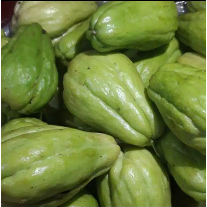 Jual labu acar segar | Shopee Indonesia