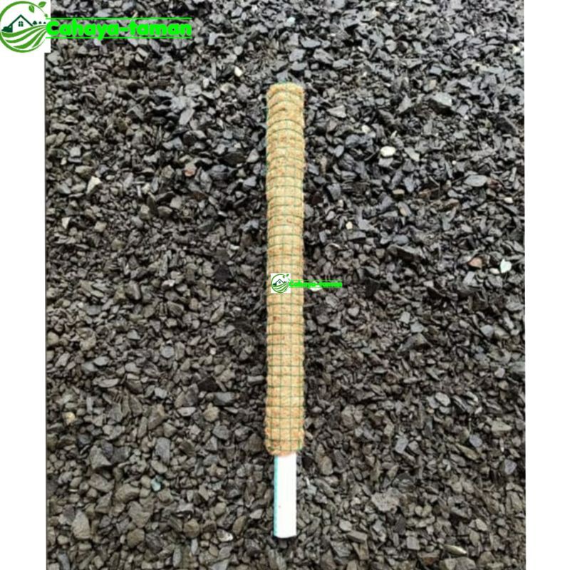 Jual turus penyangga tanaman hias rambat turus tanaman | Shopee Indonesia