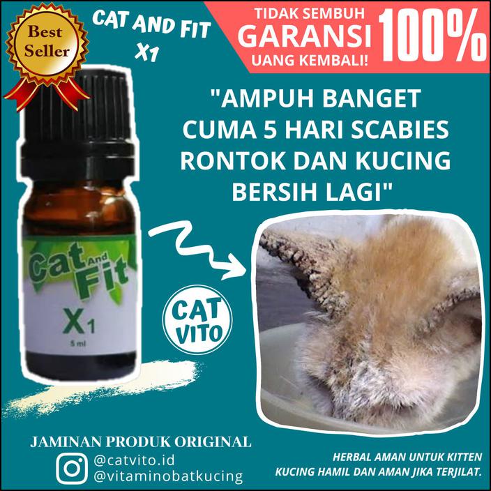 Jual PAKET 2 BOTOL CAT AND FIT X1 OBAT JAMUR KUTU SCABIES RINGWORM ...