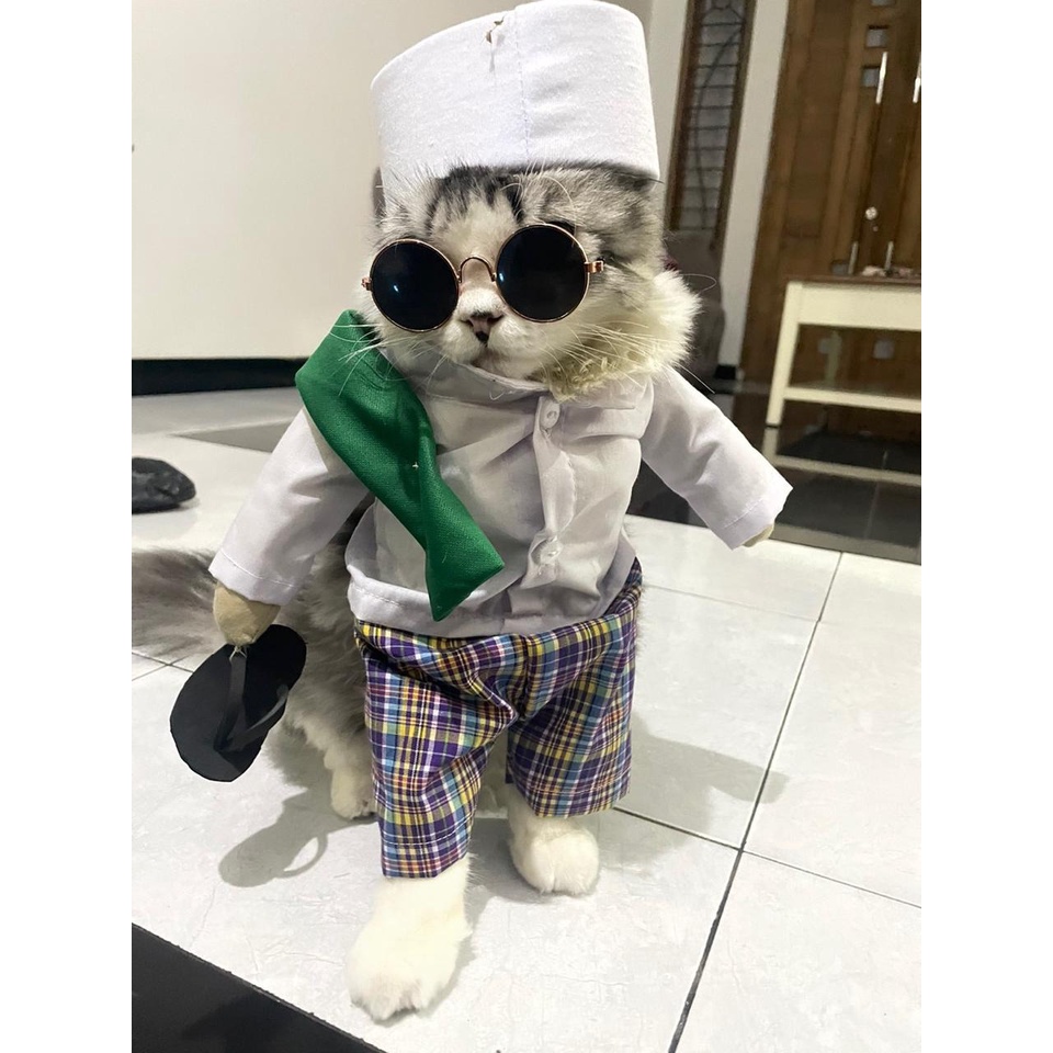 Jual Baju Kucing Kostum Pak Haji Size (S/M/L/XL/XXL) - Aksesoris ...