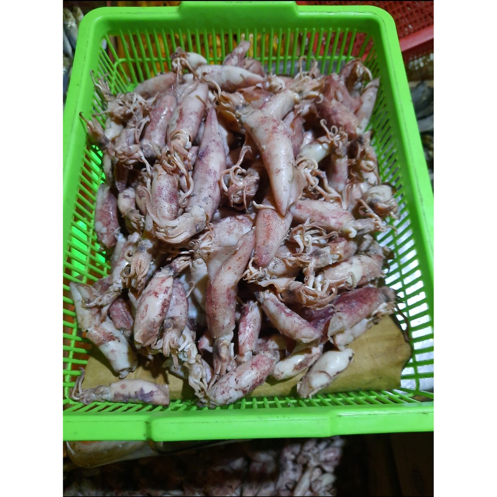 Jual ikan asin beby cumi, cumi sotong, cumi rebus 500gr | Shopee Indonesia