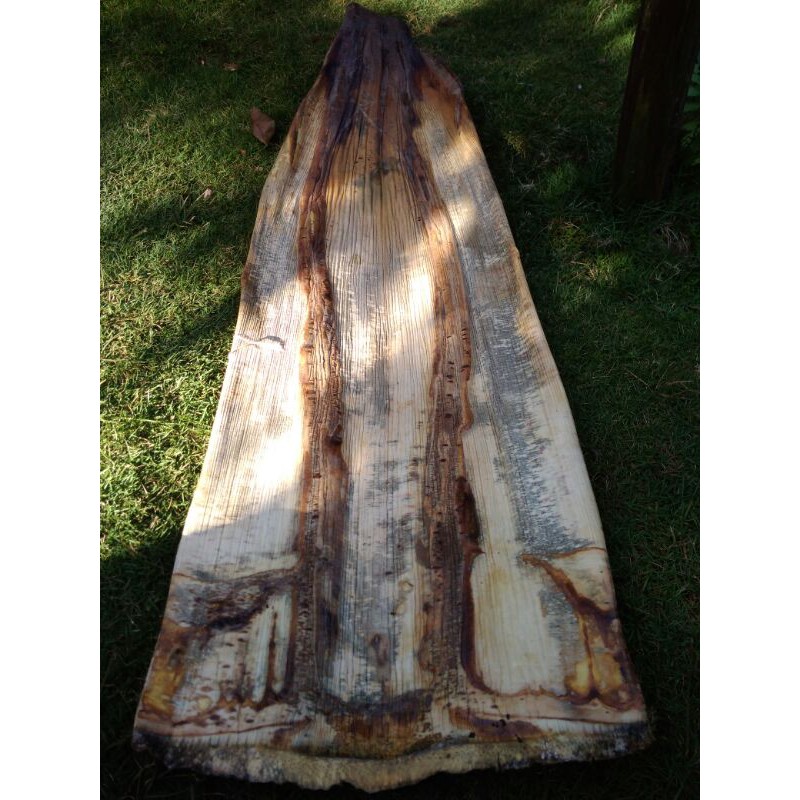 Jual Pelepah Pohon Pinang/Upih bahan kerajinan tangan/bungkus makanan ...