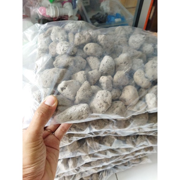 Jual Pumice Batu Apung 2-3cm | Shopee Indonesia