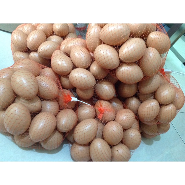 Jual Telur plastik/telur paskah paska/ telur ayam dummy/ telur ayam ...