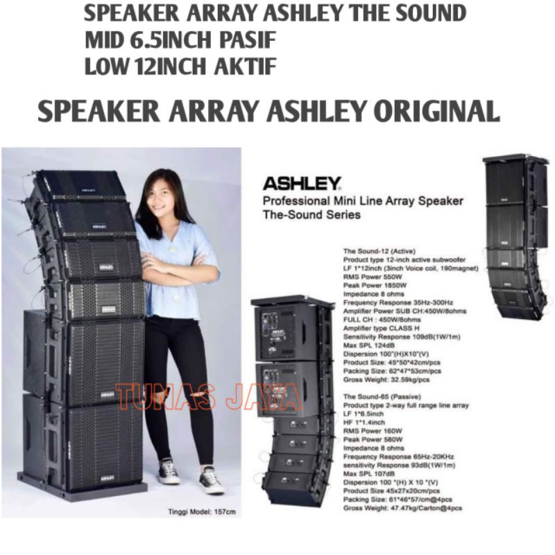 Jual PAKET PROFESSIONAL MINI LINE ARRAY SPEAKER ASHLEY THE-SOUND SERIES ...