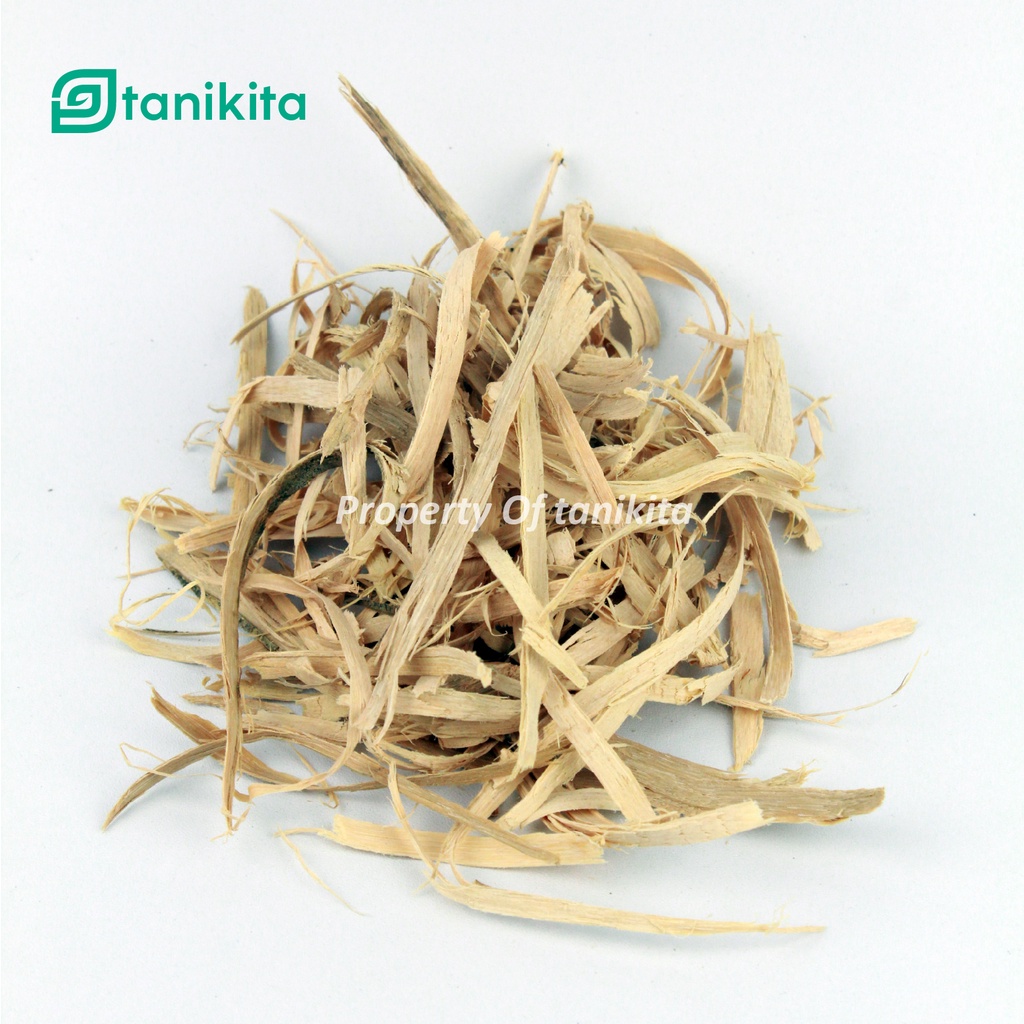 Jual Herbal Doro Putih 500gr / Bidara Laut / Kayu Ular / widoro ...